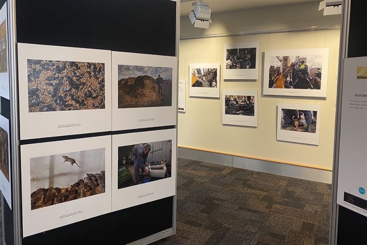 Exhibitions at COPACC COPACC